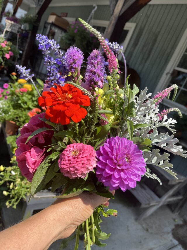 FIRST-EVER SUMMER FLOWER SHARE-STARTS ON Monday, July 27 for 8 weeks ...